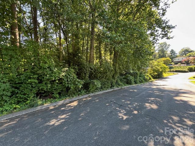 V/L Woodland Drive # 11