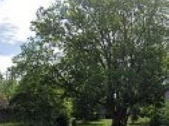 V/L Adj 206 Birdsell St, South Bend, IN 46628