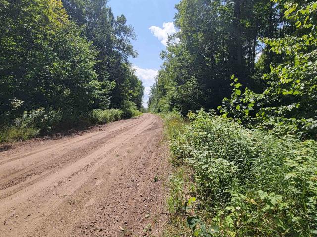VL Beechnut Lane # Lot: 223