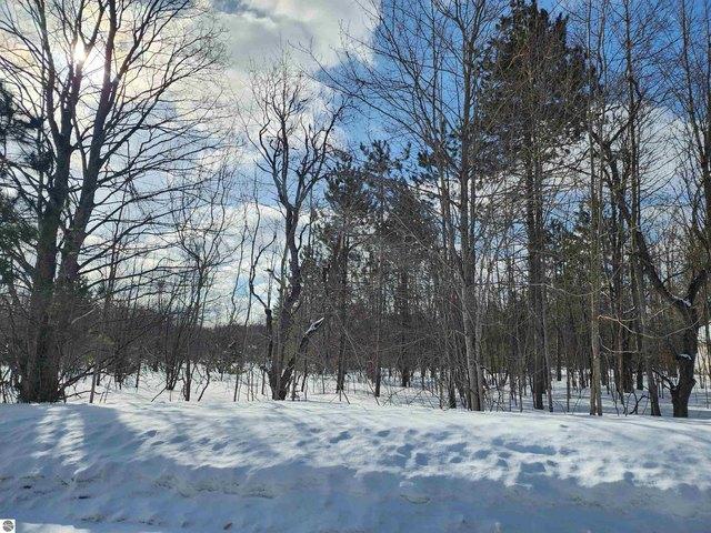 V/L Belmont Dr Lot 219, Mancelona, MI 49659