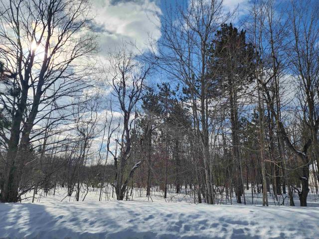 V/L Belmont Drive # Lot: 219