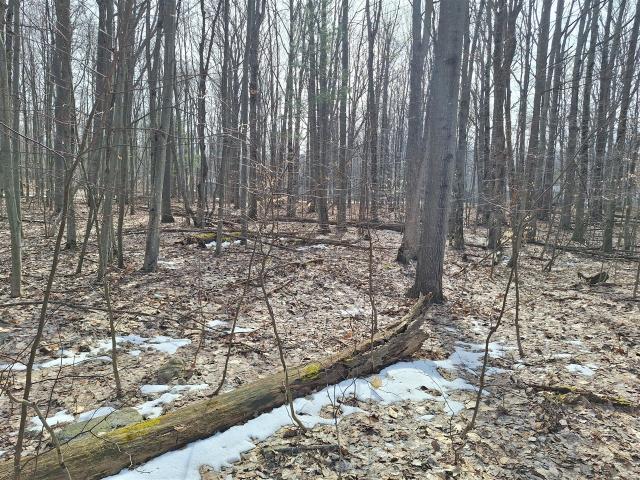 V/L Birch Street # LOT 10, 11, 12 BL 13
