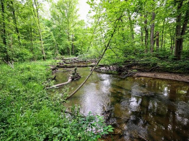 Vl Black River Rd, Bangor, MI 49013