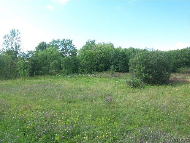 V/L Broadway Rd, Darien Center, NY 14040