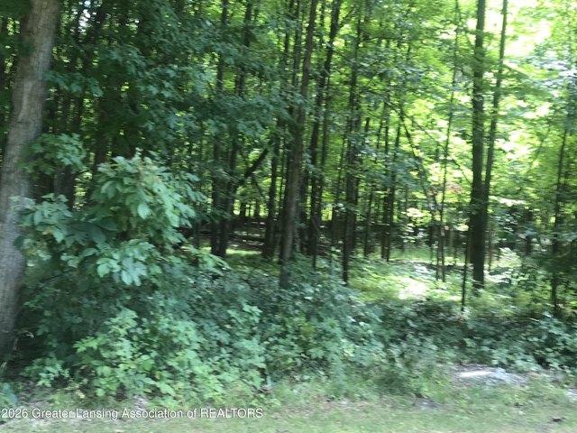 V/L Brookshire Dr # 10, Chesaning, MI 48616