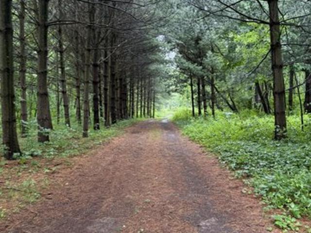 V/L Calvin Center Rd, Cassopolis, MI 49031