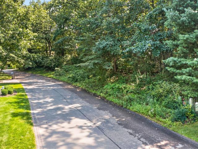 V/L Cayuga Heights Lane