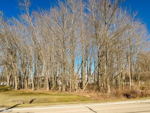 V/L Centennial St, Geneva, OH 44041