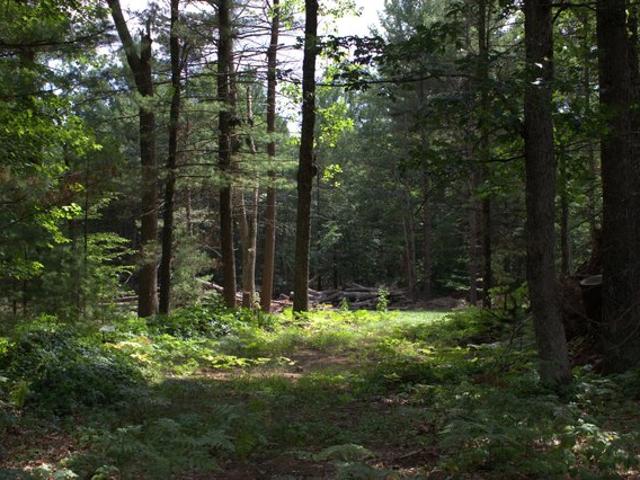 Vl Cherry St, Twin Lake, MI 49457