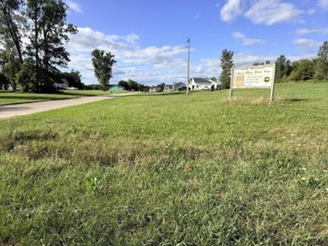 V/L Chicory, Portland, MI 48875
