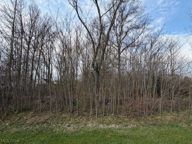 V/L Cooley Rd, Columbia Station, OH 44028