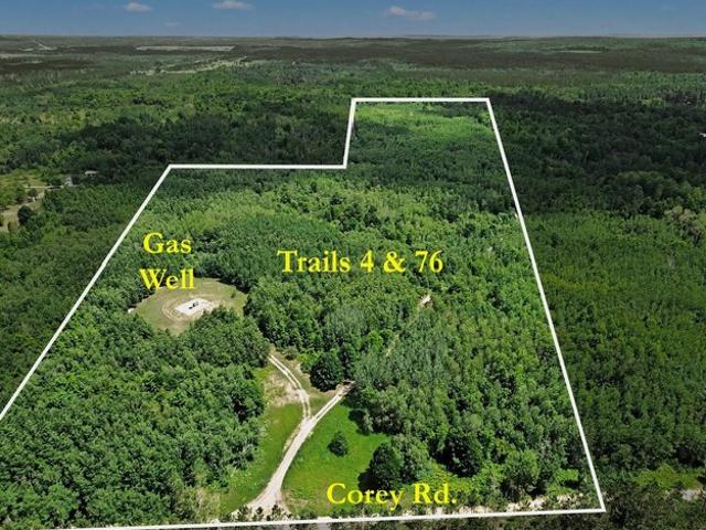 Vl Corey Rd, Mancelona, MI 49659