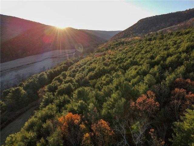 Vl County Route 119 Lot 1, Cameron, NY 14823