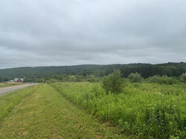 Vl County Route 46 Lot 2, Dansville, NY 14437