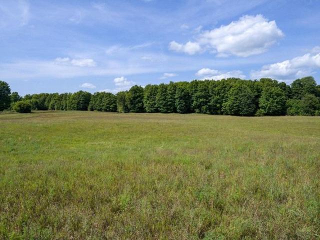 V/L E Center Rd, Kingsley, MI 49649