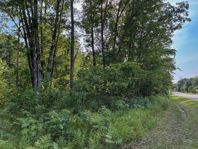 V/L E Jackson St, White Cloud, MI 49349