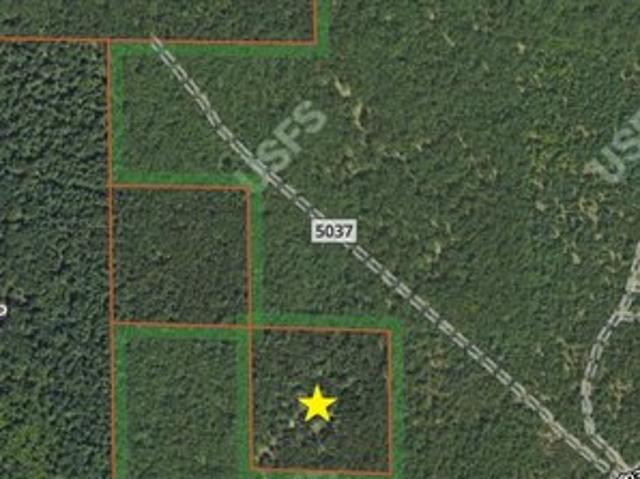 V/L E Koenig Rd, Free Soil, MI 49411