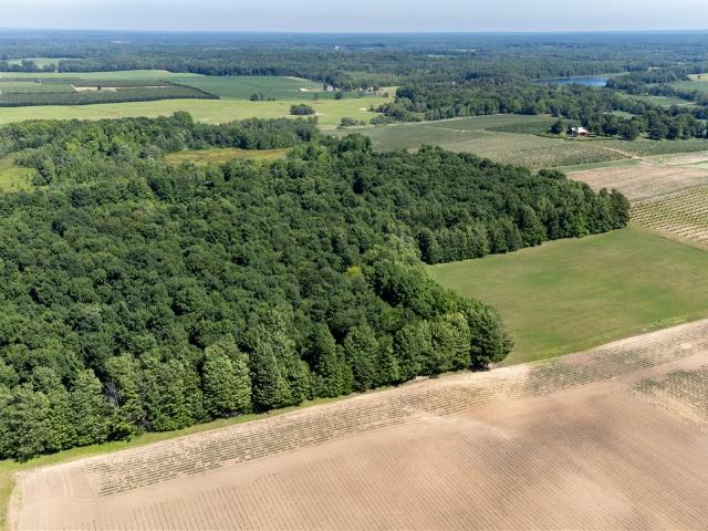 VL E Taylor