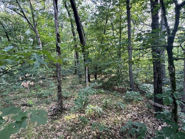 V/L E Washington St, White Cloud, MI 49349