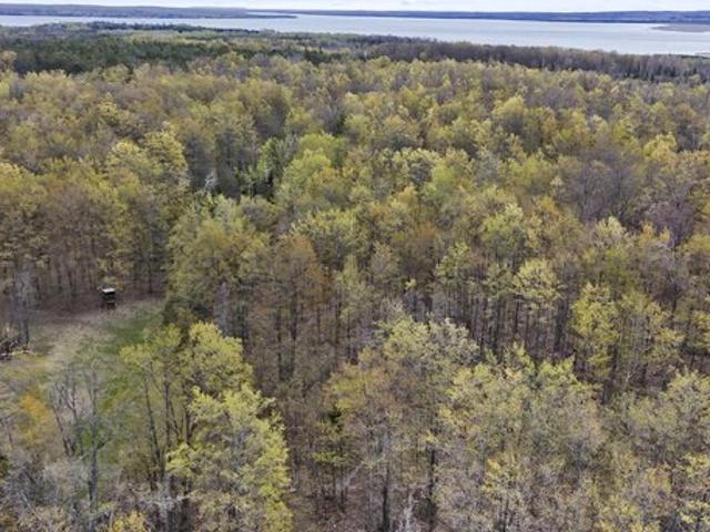 V/L Farrier Rd, Hillman, MI 49746