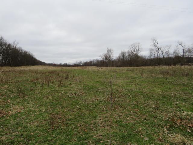 VL Fenner Road