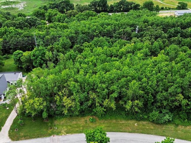 V/L Forest Shores Drive # 9 Lot