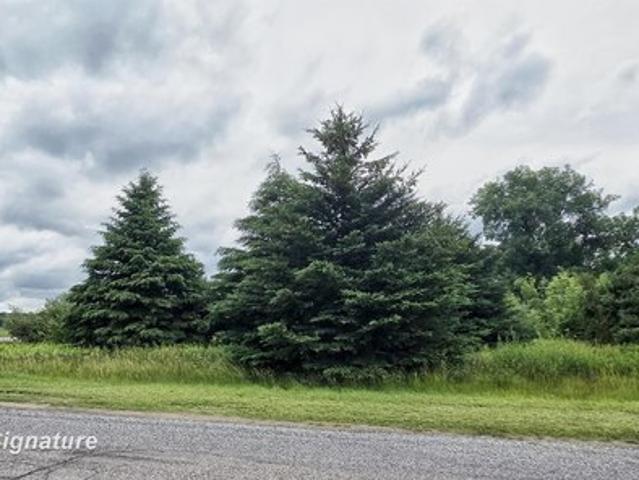 Vl Frost Rd, Hemlock, MI 48626