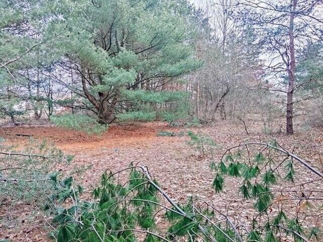 V/L Frost St, Muskegon, MI 49442