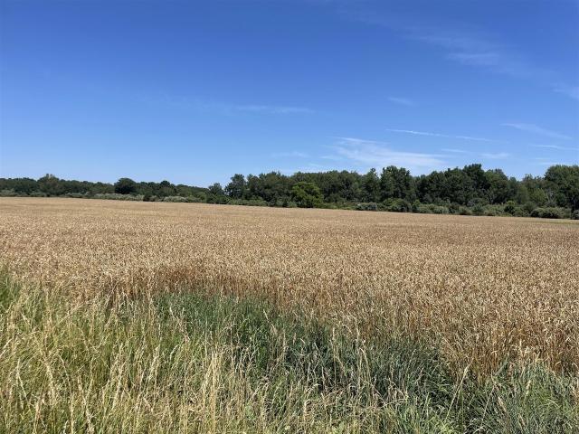 V/L Freesoil Road