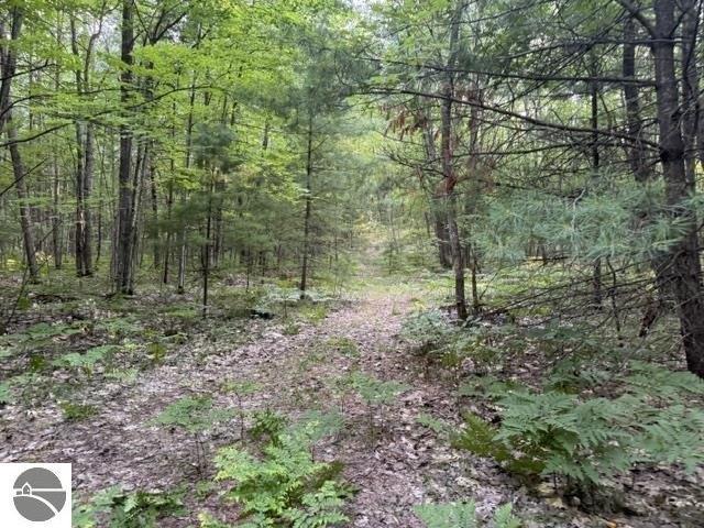Vl Gaukel Rd, Lake City, MI 49651