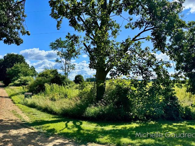 VL Gibson Farms Drive # Parcel 9