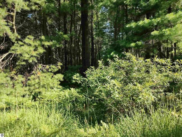 VL Grass Lake Road