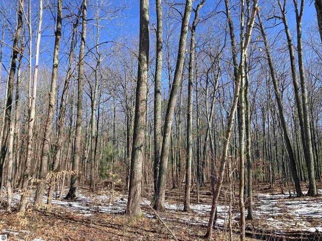 V/L Heath Rd, Rose City, MI 48654
