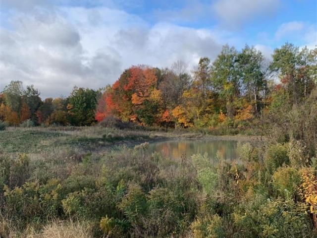 V/L Hidden Creek Trail # C