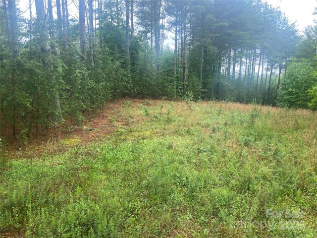 V/l Hunt Camp Dr, Unit 59, Nebo, NC 28761 | MLS #4272
