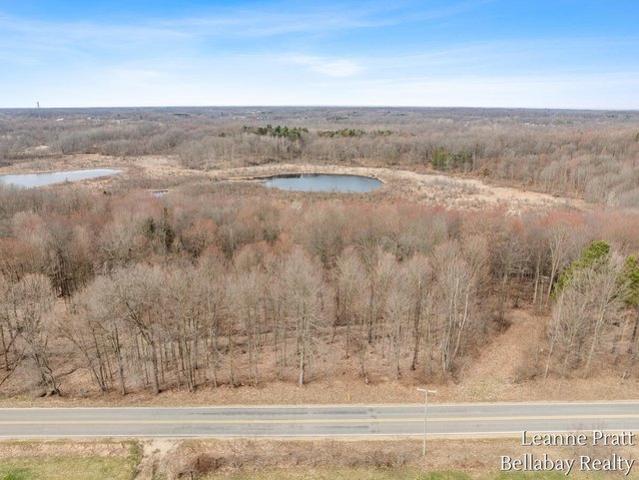 Vl Hutchinson Rd, Dowling, MI 49050