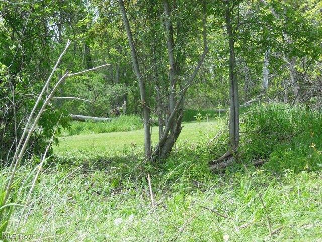 V/L Kerns Dr NE, Bolivar, OH 44612