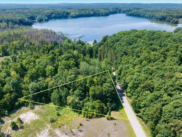 V/L Lake of the Woods Rd, Bellaire, MI 49615