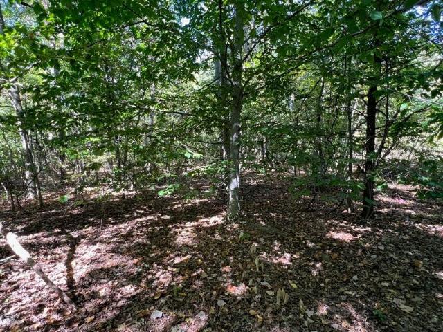 VL Lake Drive # Lot 174/175