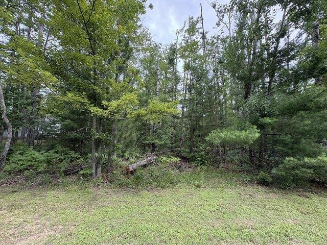 V/L Long Lake Rd Lot 34, Hillman, MI 49746
