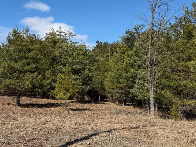 VL Lot 184 Chippewa Trail