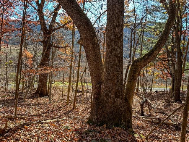 VL Lot 2 Hathaway Hill Rd