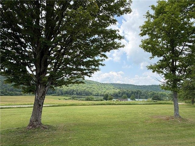 Vl Lyndon Abbott Rd, Franklinville, NY 14737
