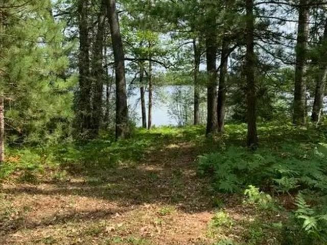 McCollum Lake Rd Lot 3, Curran, MI 48728
