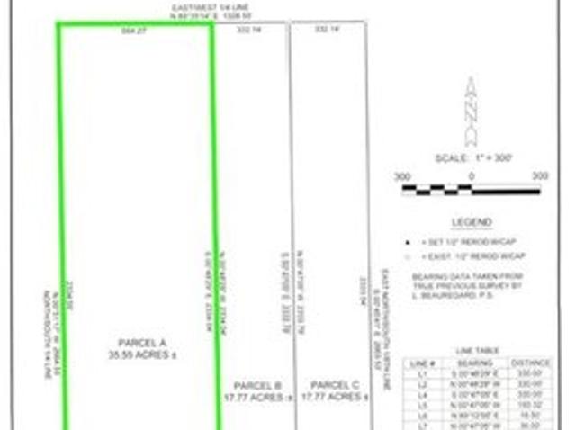 Vl McKee Rd, Vienna Township, MI 49751