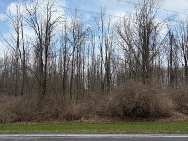 V/L McVean Rd, Corfu, NY 14036