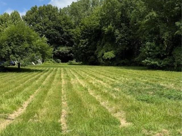 Vl Madison Ave, Painesville, OH 44077