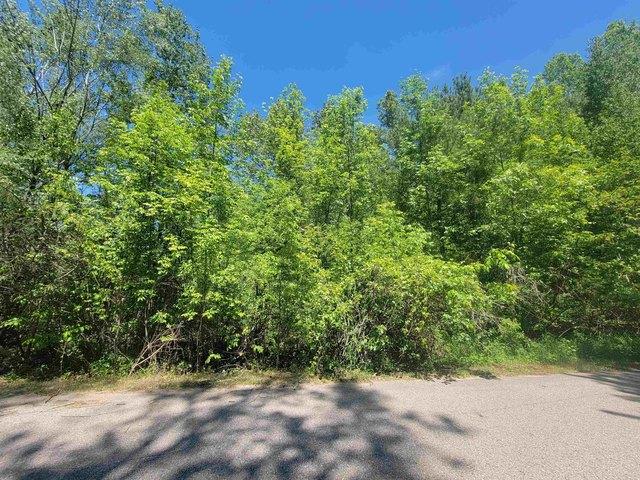 Vl Maple St, Gladwin, MI 48624