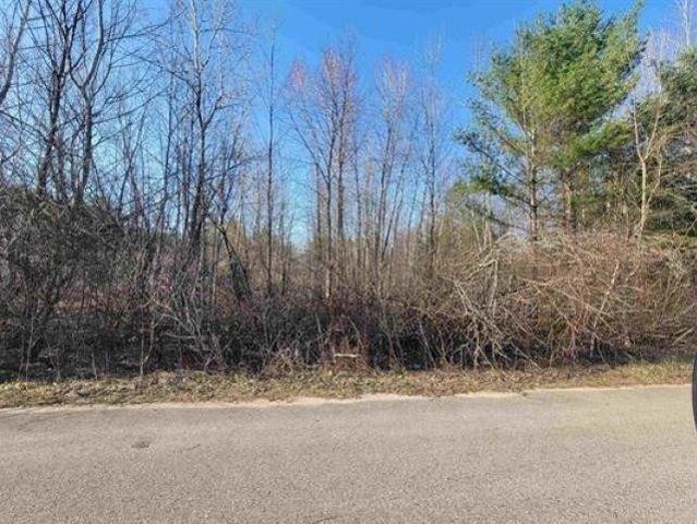 Vl Maple St, Gladwin, MI 48624
