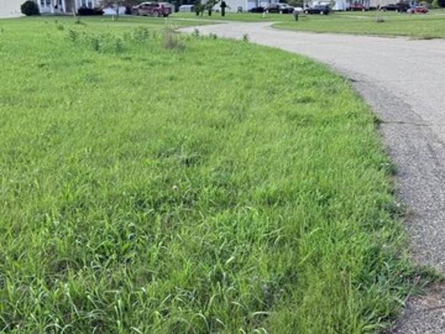 V/L Meadowrue, Portland, MI 48875